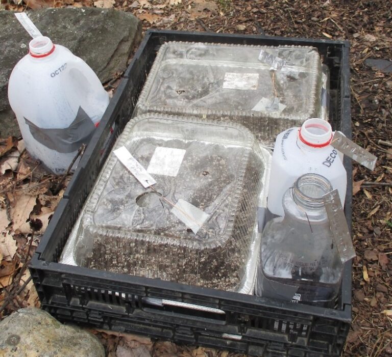 Winter Sowing Workshop with Gail Olson - Wild Ones Appalachian ...